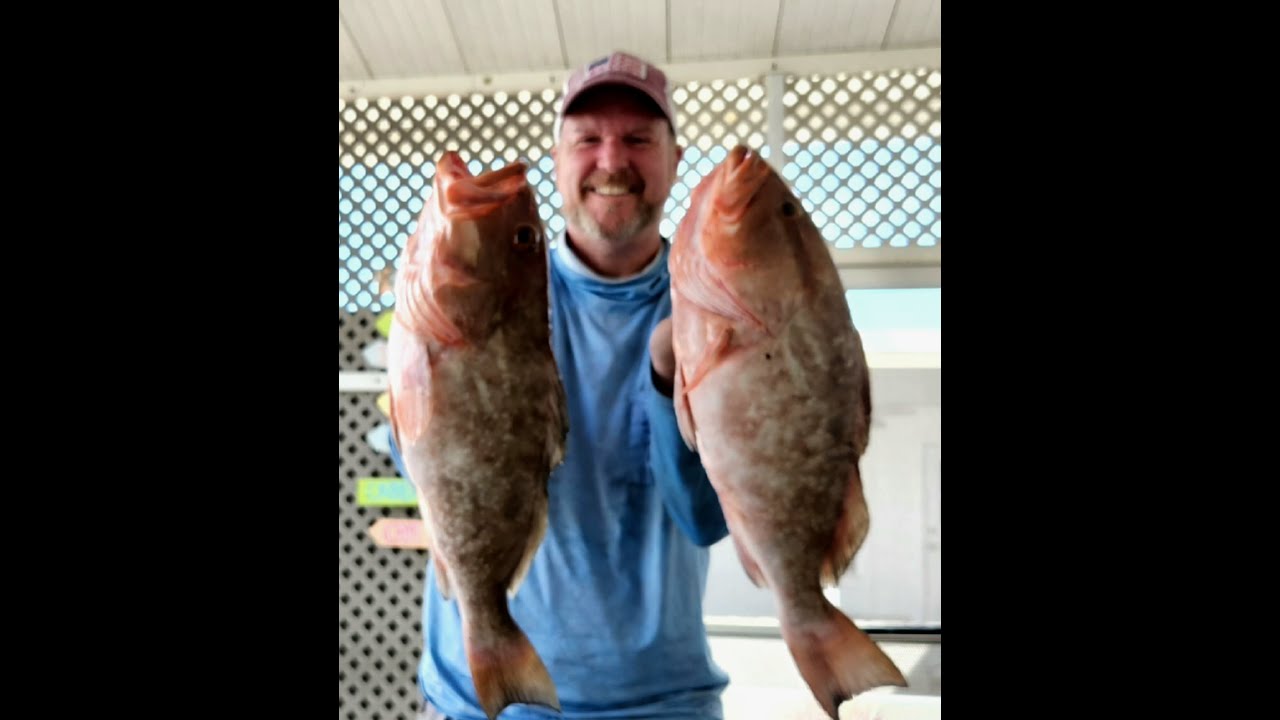 End of Summer Grouper fishing, Offshore southwest Florida, catch and ...