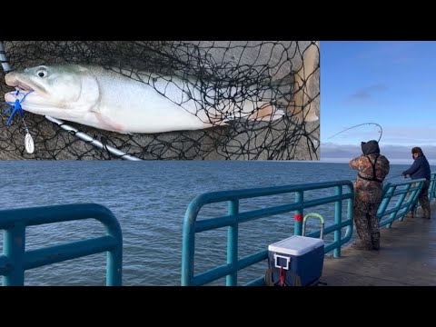 Winter Pier Fishing With Arctic Spinners For Salmon, Steelhead, and ...