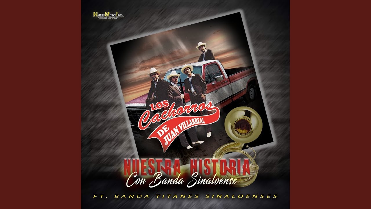Disculpame Vida Mia (Banda) - YouTube