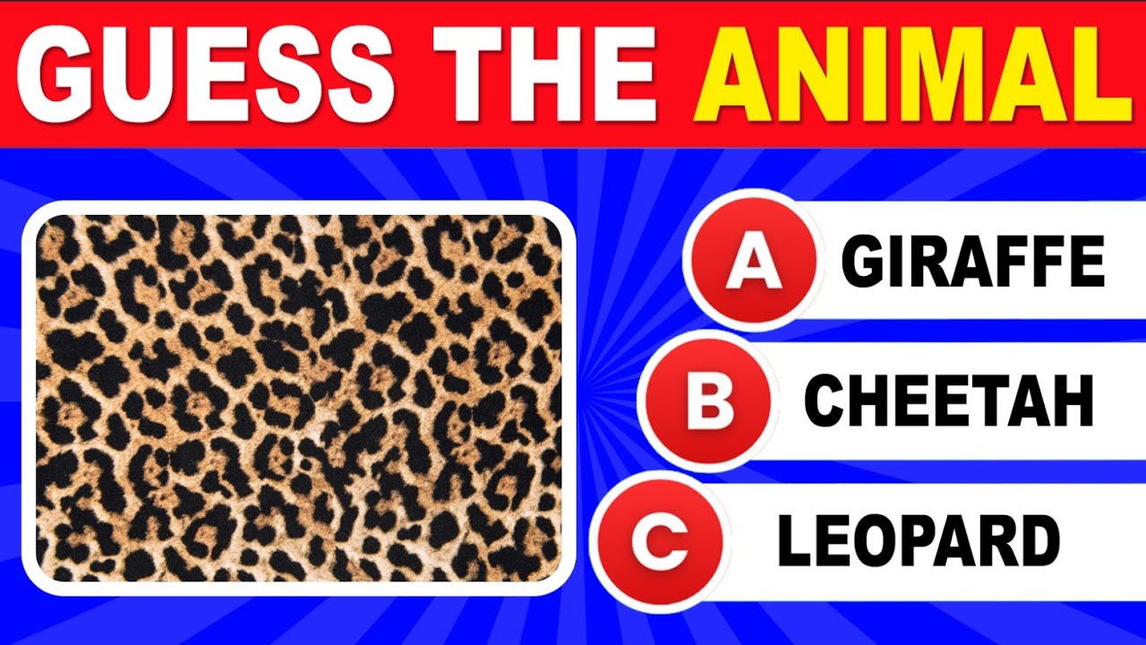 Can You Guess the Animal by their textures? Guess the Animal Quiz ...