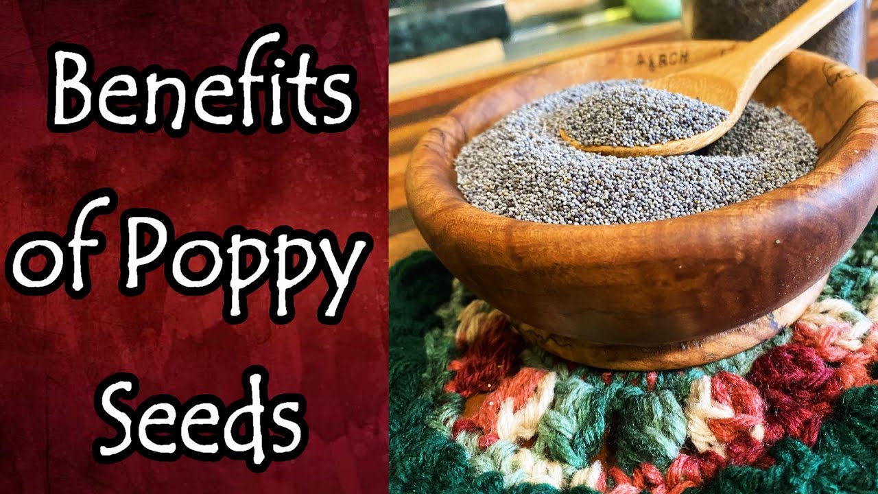 Benefits of Poppy Seeds - YouTube