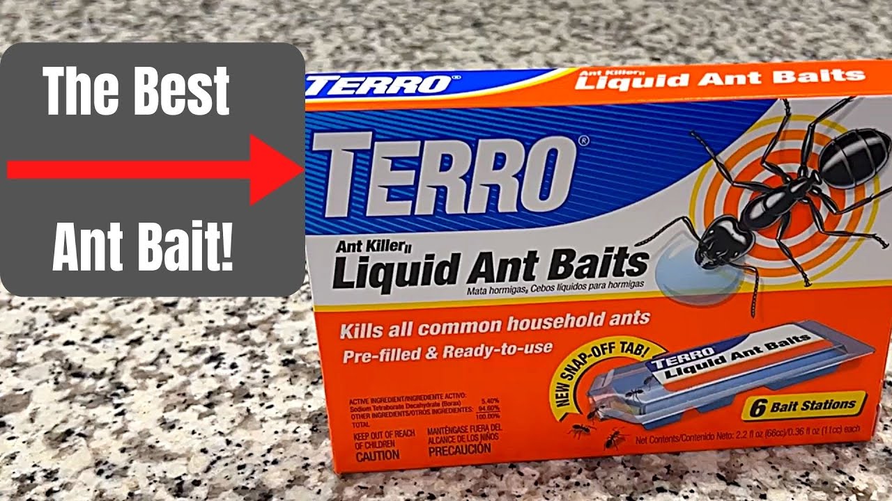The Best Indoor Ant Killer Terro Liquid Ant Baits