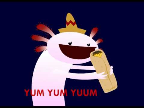 The Burrito Song - YouTube Music