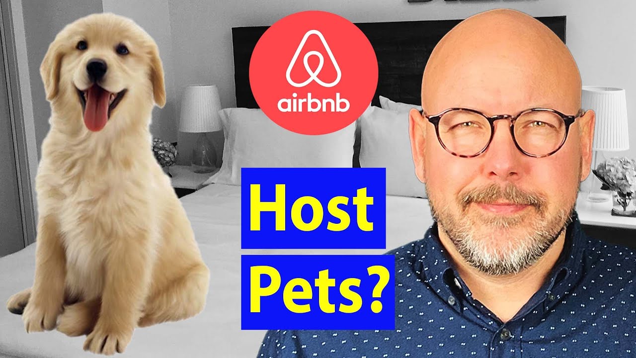 Will Hosting Pets Grow Your Airbnb Business? - YouTube