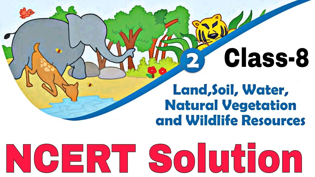 NCERT Solution / Land Soil Water Natural Vegetation & wildlife Resource ...