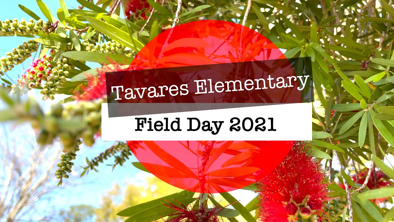 Tavares Elementary Field Day 2021 - YouTube