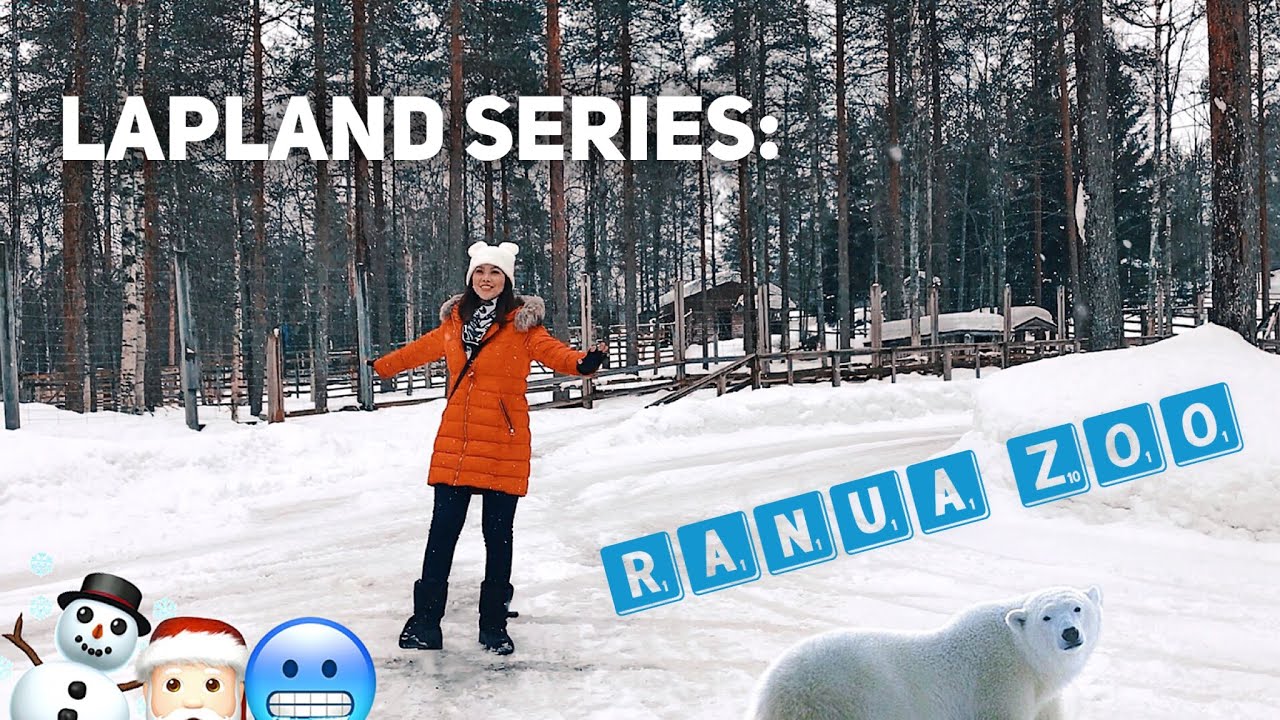 RANUA ZOO : Only Zoo in the Arctic | FINLAND | Bianca Valerio - YouTube