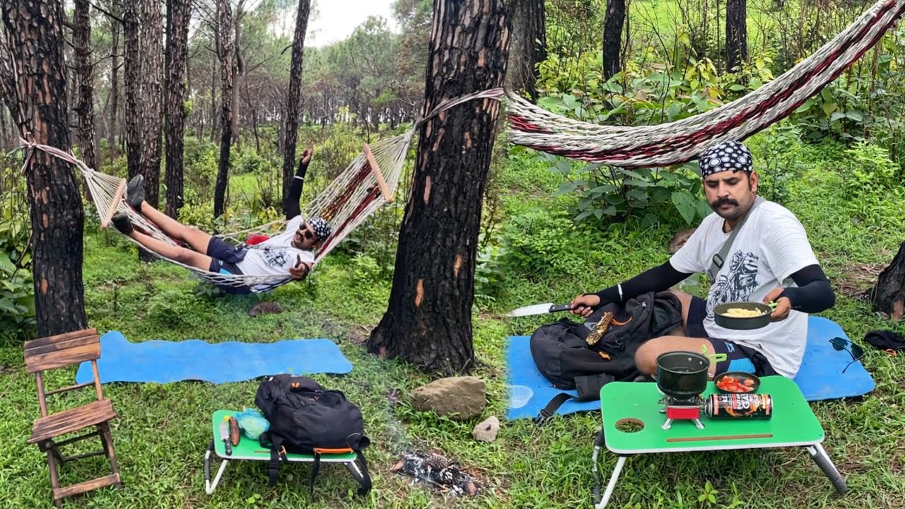 Camping In Wild Forest | Wild Forest Camping | Himachal Camping Vlogs ...
