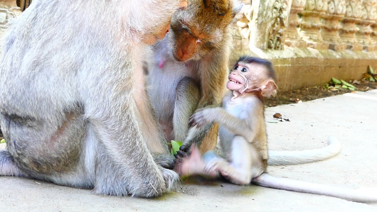 Tiny Baby Monika Gets Scary Face Because Of Mother Malika Looks At Her ...