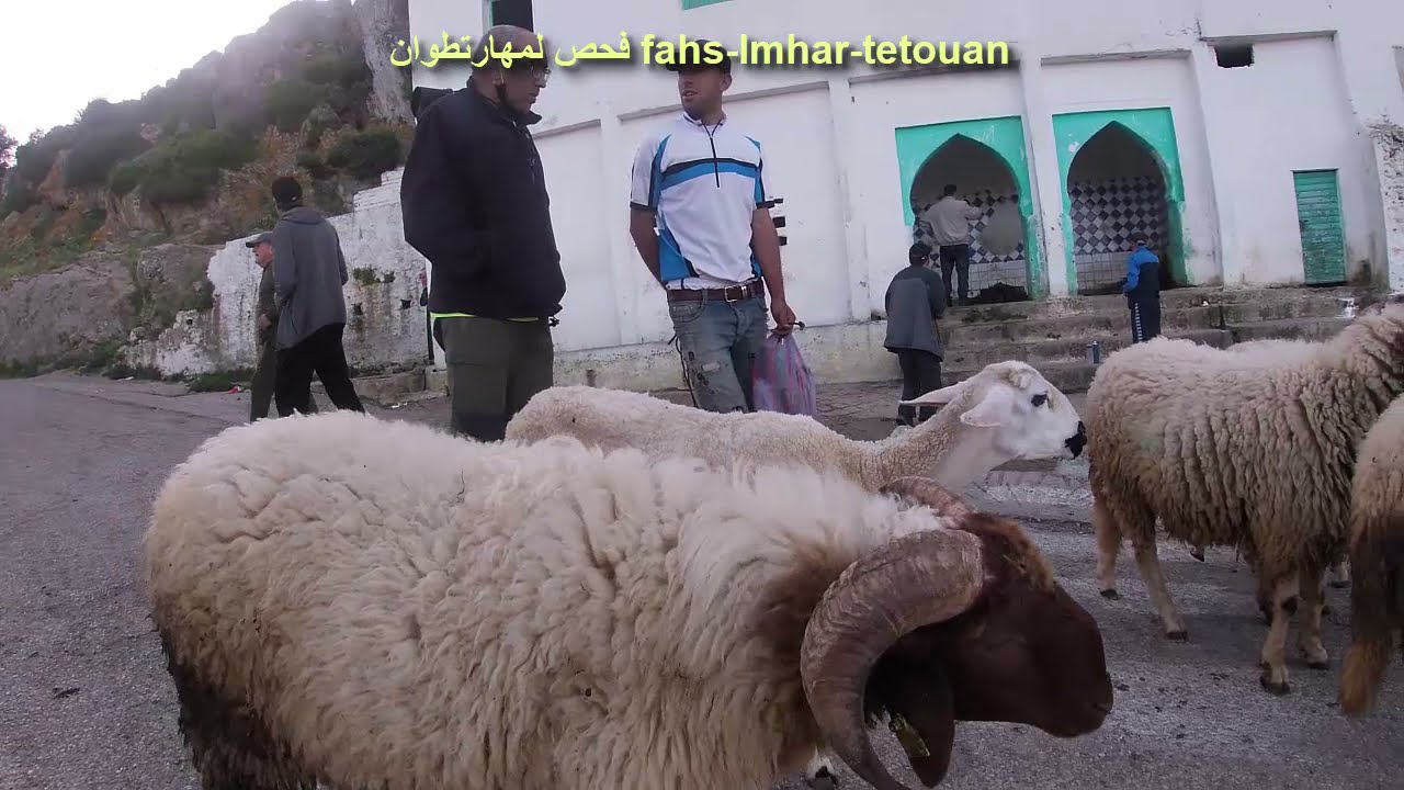 فحص لمهار المنبسط الداخلي الذي يوجد على إرتفاع 600 متر عن سطح البحر ...