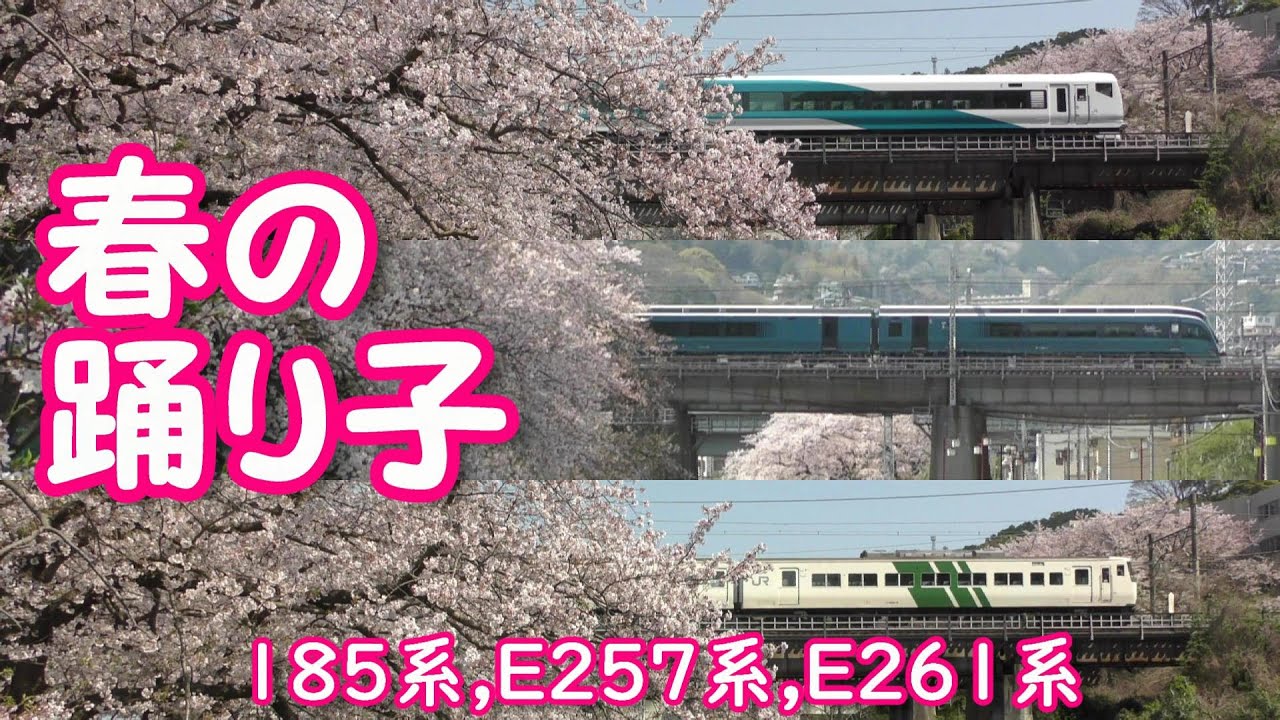 春の踊り子、185系,E257系,E261系【Spring train】 - YouTube