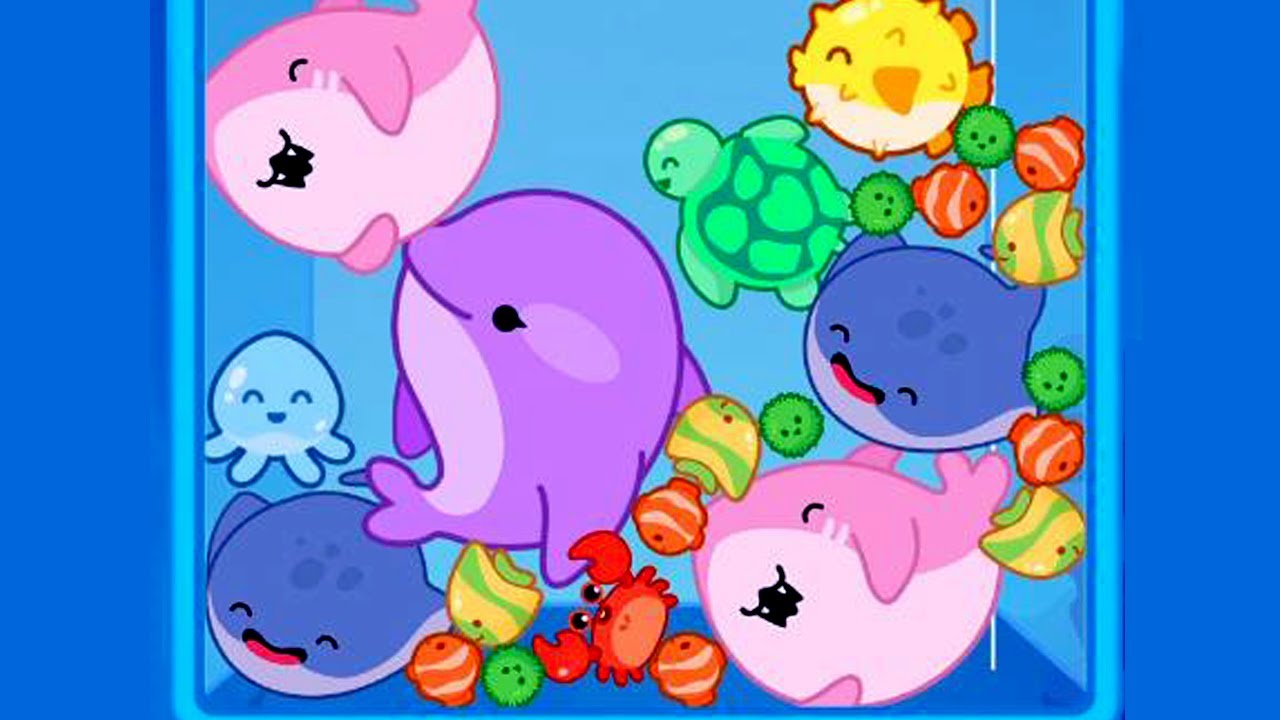 Merge Whale Gameplay - Merge Fish to Max Level - YouTube