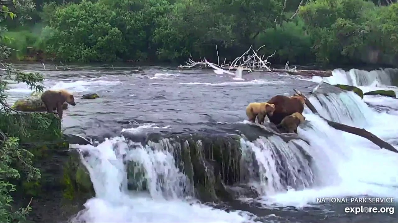 30 Jun 2019: 402 Gives Lip Fishing Lesson Above 856! - YouTube