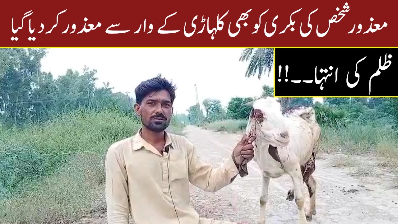 Disabled man goat crippled with an ax blow - YouTube