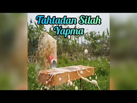 Ahşaptan Gerçek Silah | Tahtadan Silah Yapımı | Ağaçtan Silah Yapma