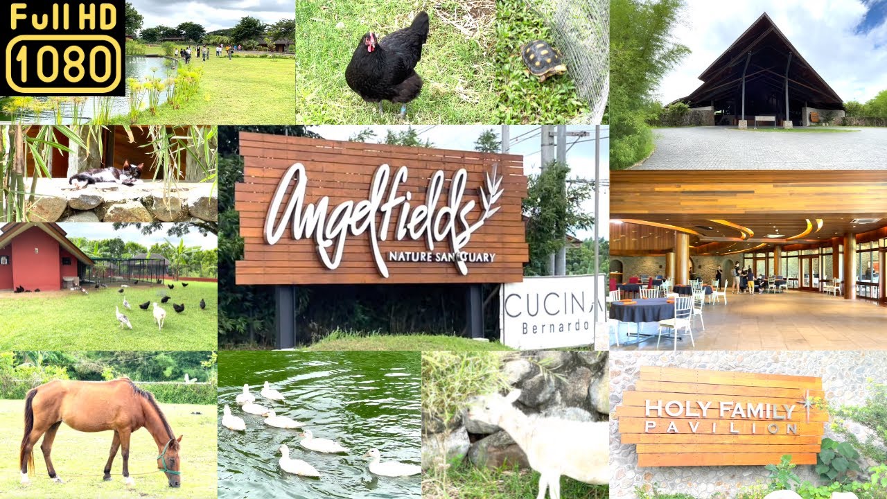 South Luzon Series#1 - ANGELFIELDS Tagaytay | Bakasyonista PH - YouTube