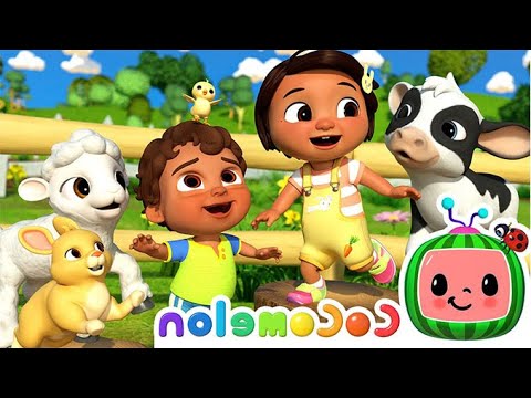 Baby Animal Dance | CoComelon Nursery Rhymes & Kids Songs Kids Cartoon ...