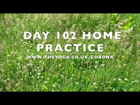 The Corona Yoga Home Challenge: Day 101 Guided