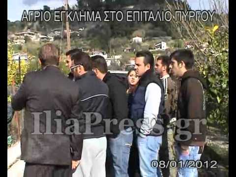 ΑΓΡΙΟ ΕΓΚΛΗΜΑ ΣΤΟ ΕΠΙΤΑΛΙΟ ΠΥΡΓΟΥ - YouTube