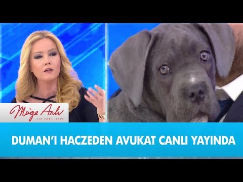 Duman'ı haczeden avukat canlı yayında... - Müge Anlı ile Tatlı Sert 8 Şubat 2019