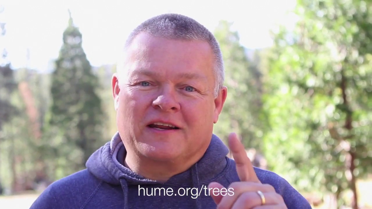 Hume 2016 - Hume Forest Fundraiser, Dathan Brown - YouTube