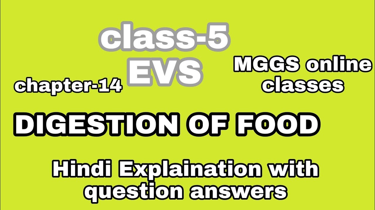 Class-5/EVS/chapter-14/ DIGESTION OF FOOD/rbse sllybus - YouTube