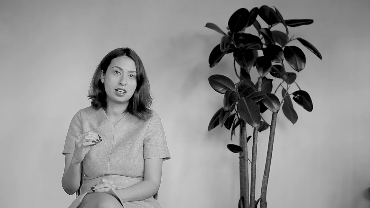 Sylvie Barbier on Roberto Unger with Blind Spots - YouTube