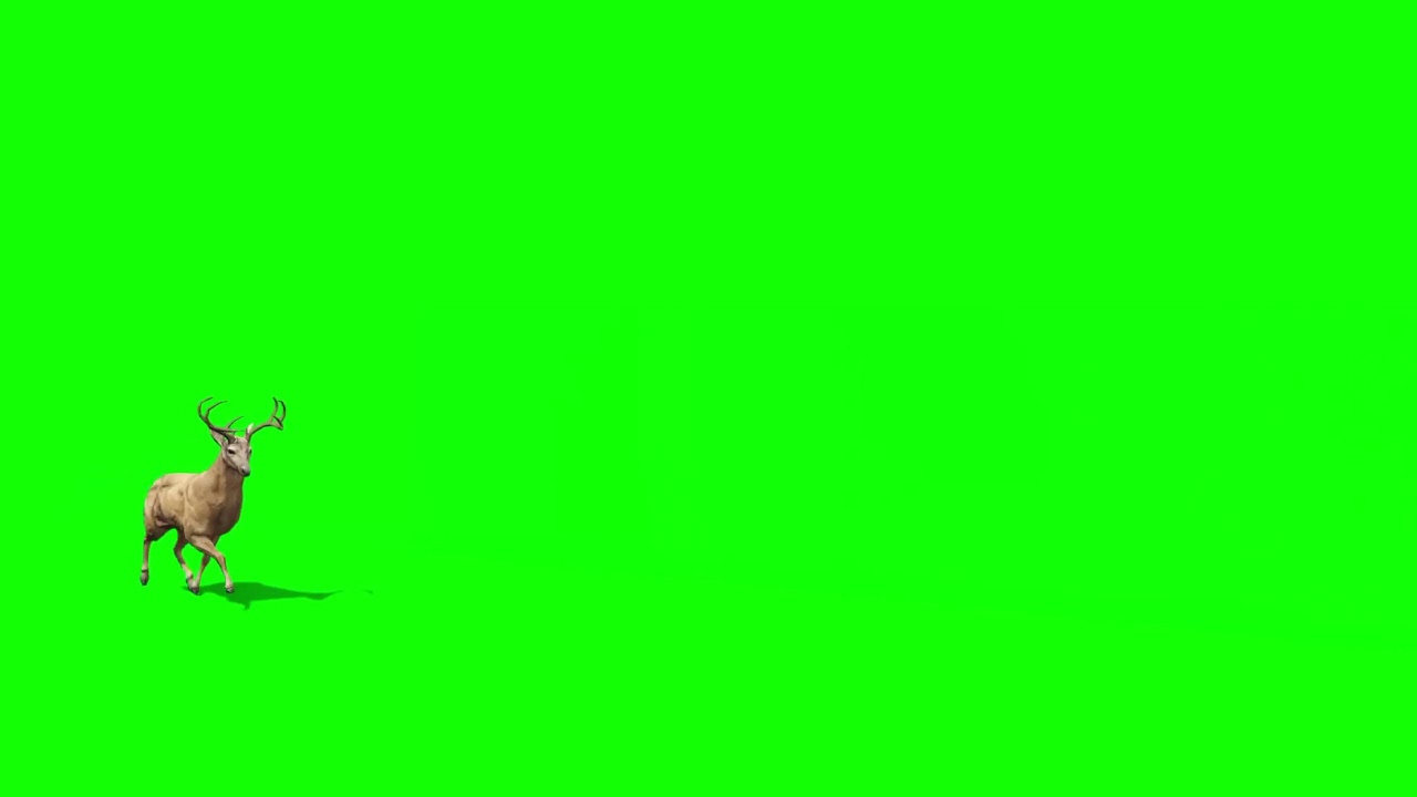 REINDEER GREEN SCREEN VFX - YouTube