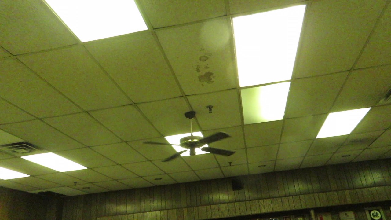 52" Progress Lighting Apollo ceiling fan - YouTube