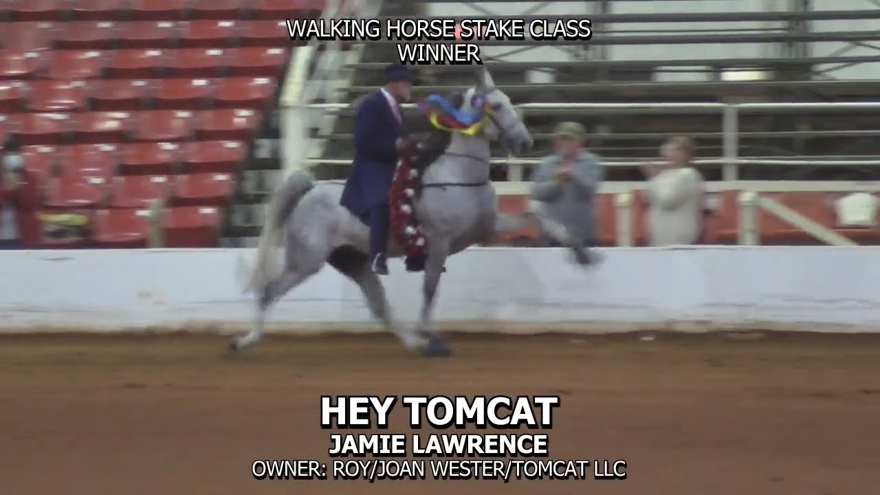 HEY TOMCAT - 2020 ALABAMA JUBILEE - YouTube