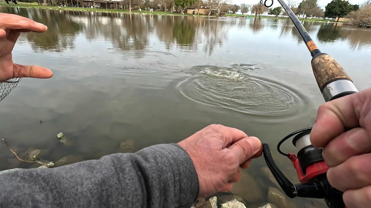 Every DFG Encounter Fishing Trip! Fly Straight or PAY the Price! - YouTube