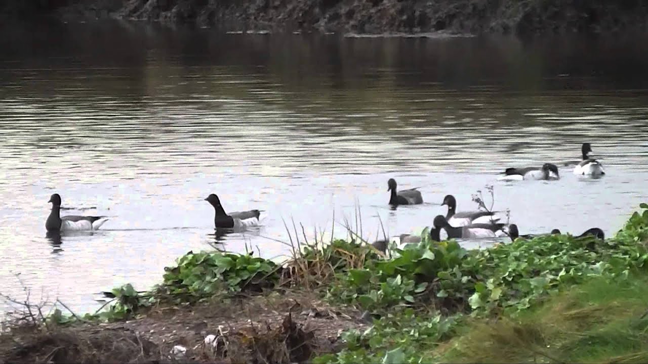 Cromane 03.01.2013 - YouTube