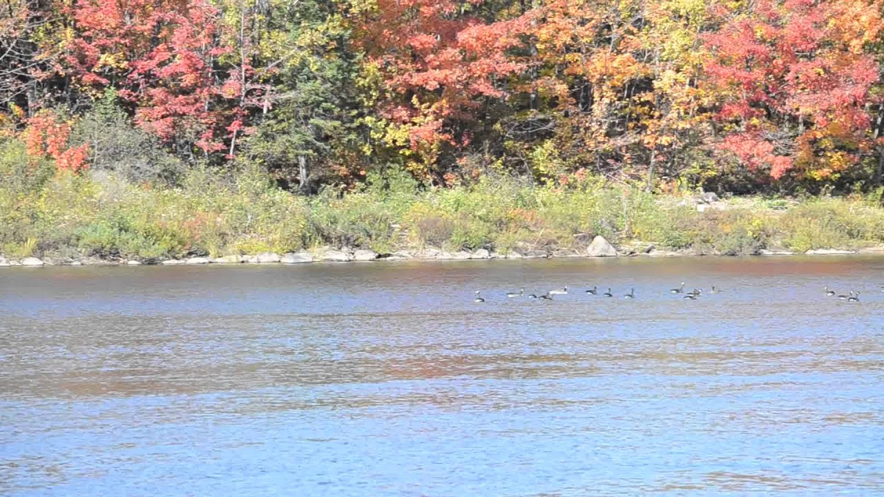 pont rouge l'été indien 2014 - YouTube