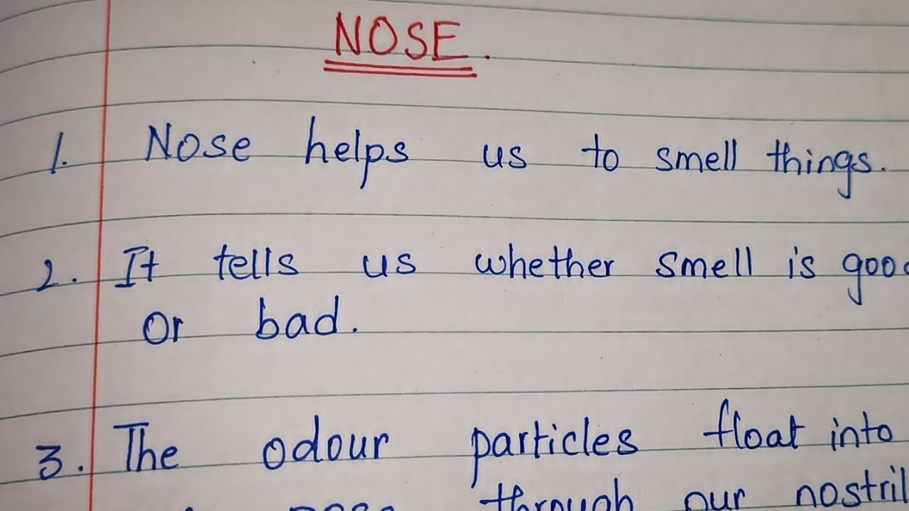 10 Lines Essay on Nose |Few sentences about Nose in English - YouTube