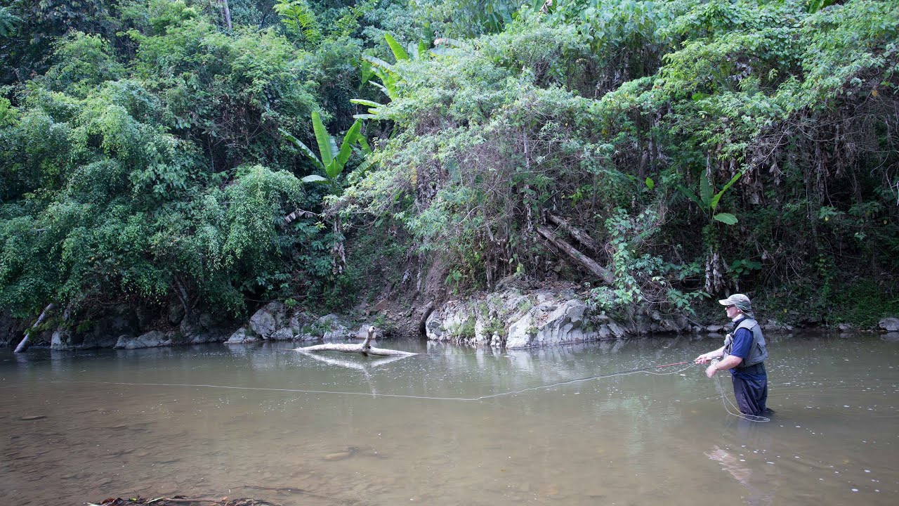 Borneo Fly Fishing Adventure - YouTube