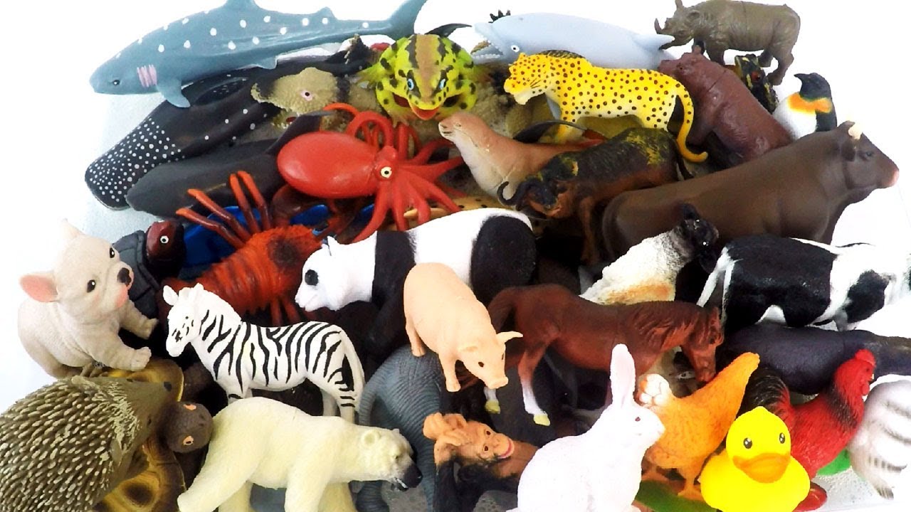 Learn Sea Animal and Farm Animals Names Zoo Wild Animals For Children ...