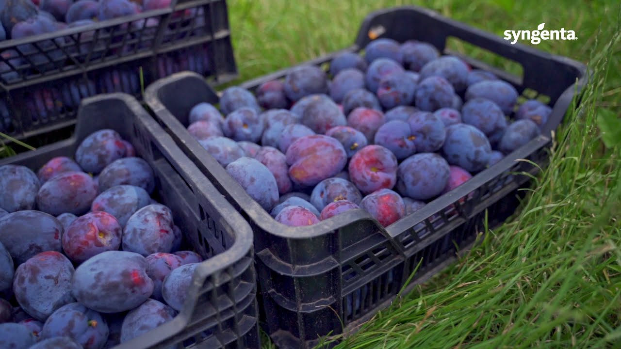 Testimonial Coprantol Duo, Vulturești, județul Suceava - YouTube