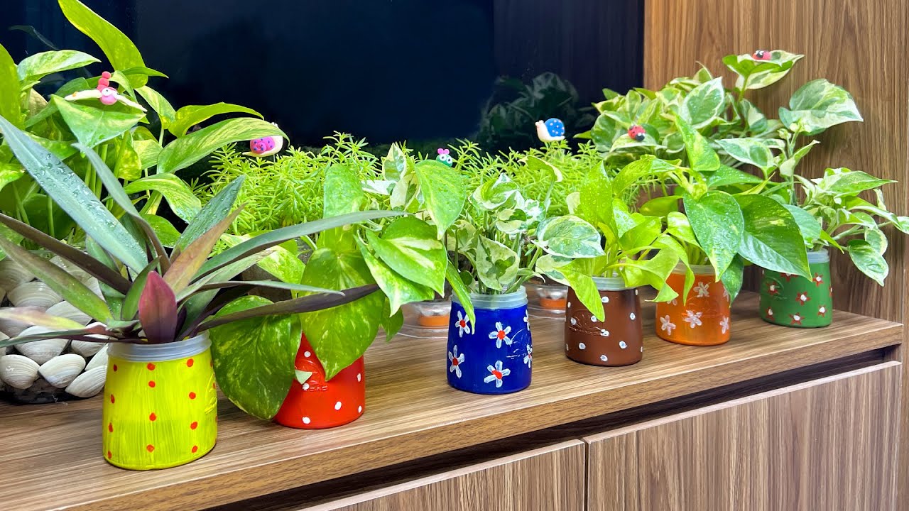 Simple ways to recycle create beautiful plant pots for your collection ...
