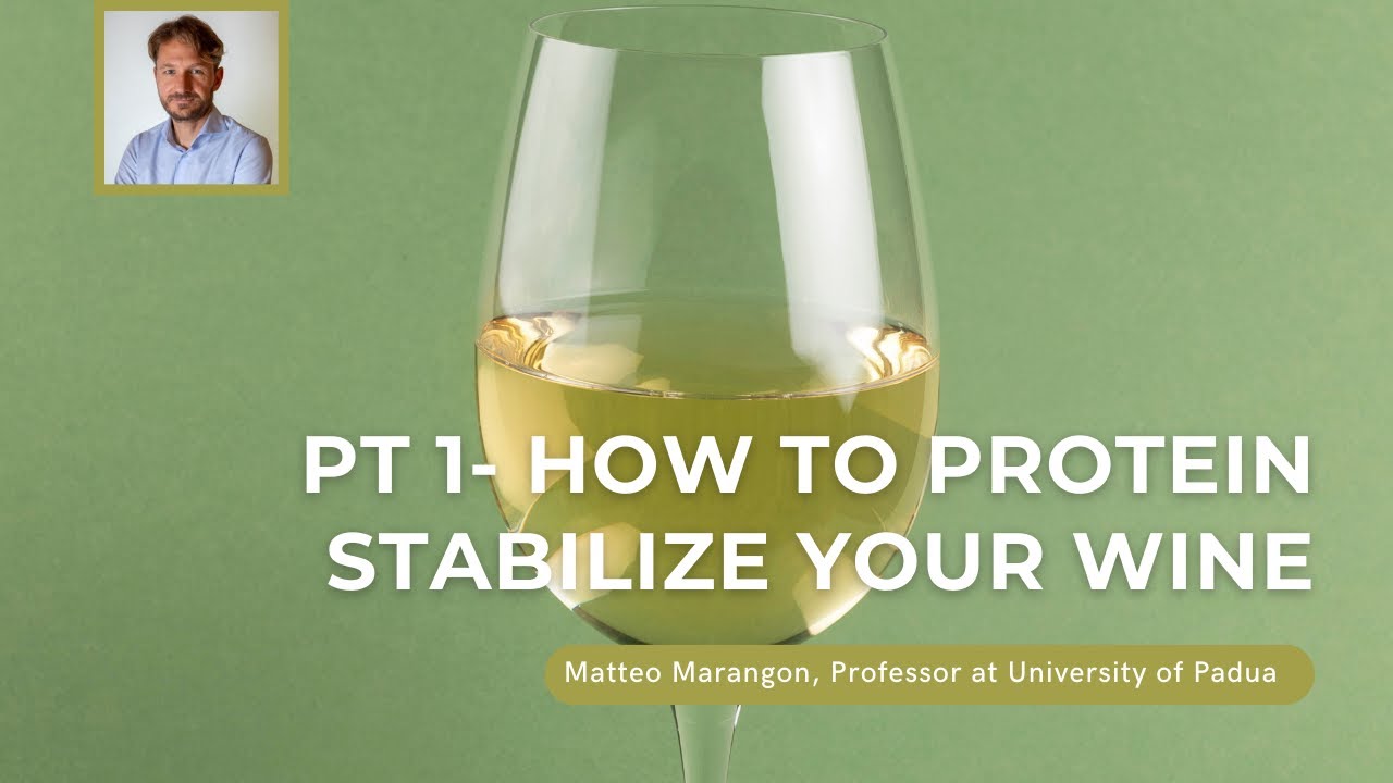 How to Protein Stabilize a White Wine - Part 1, The role of Bentonite ...