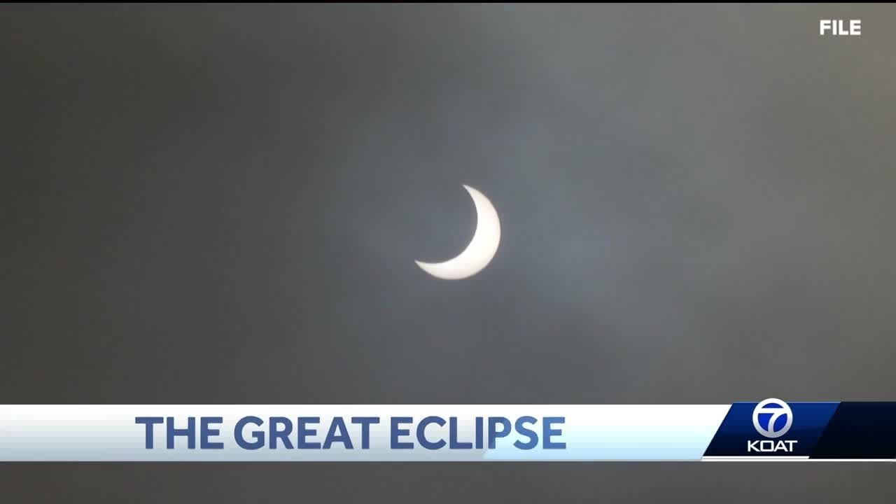 Animal behavior during the eclipse - YouTube