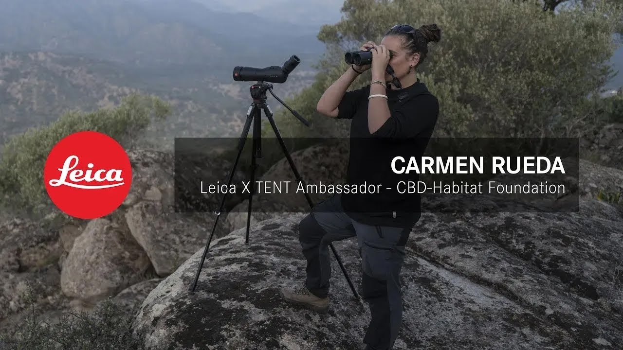 Teaser | Carmen Rueda - Leica X TENT Ambassador - CBD-Habitat ...