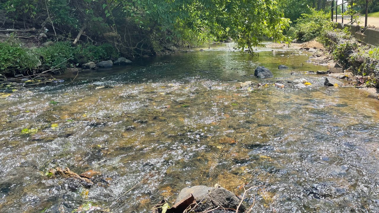 Relaxing Creek Ambience | calming, Sleep or meditation - YouTube