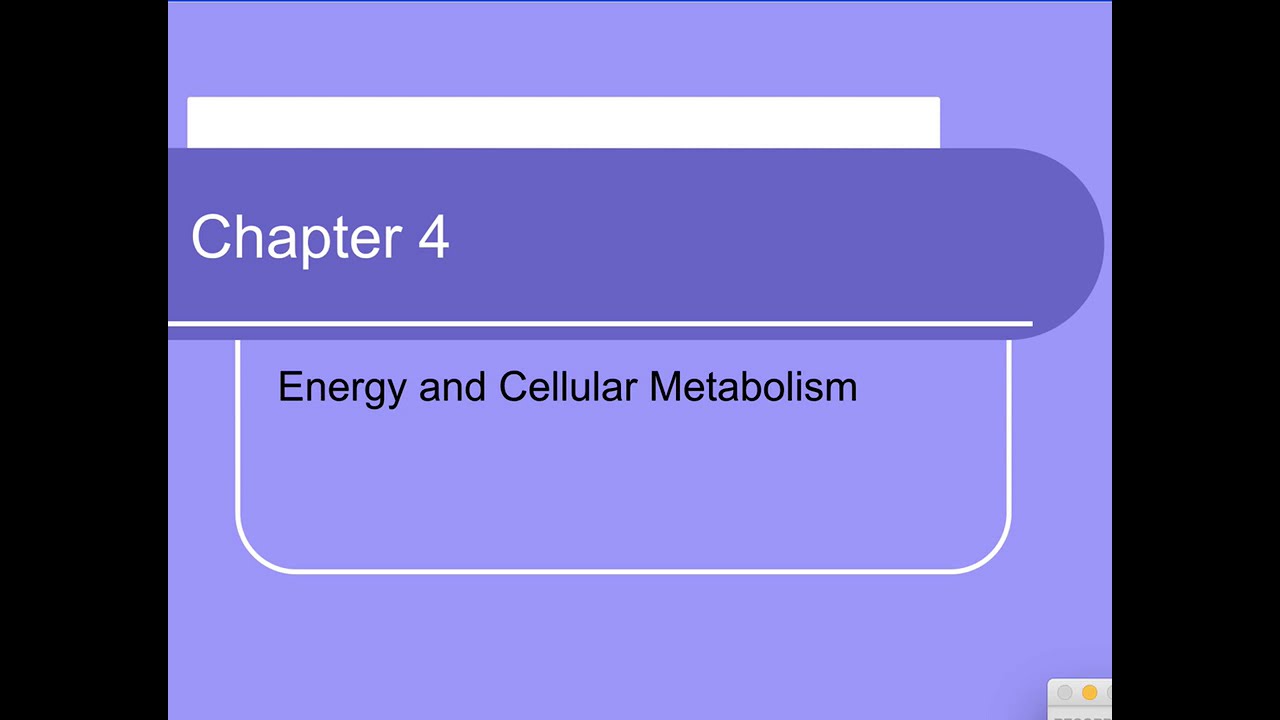 Physiology Chapter 4 - YouTube