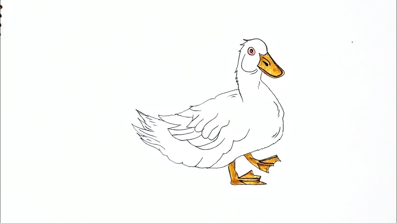 How To Draw a Duck √ How To Draw a Duck Step By Step √ Ahmad Drawing ...