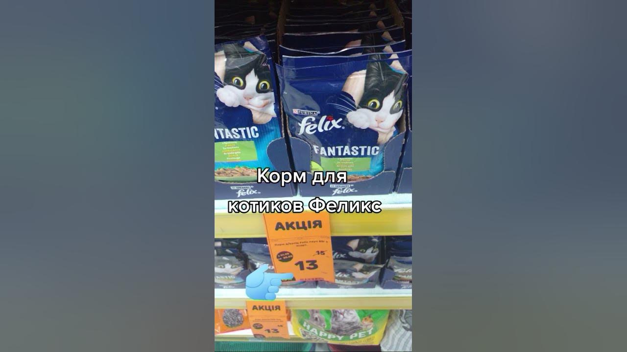 Акция в Авроре. Корм для котиков - YouTube