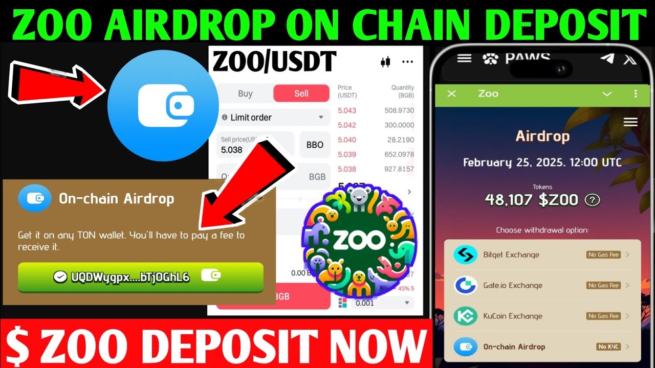 Zoo Airdrop Withdrawal | Zoo Tokens On-Chain Claim | Zoo On-Chain ...