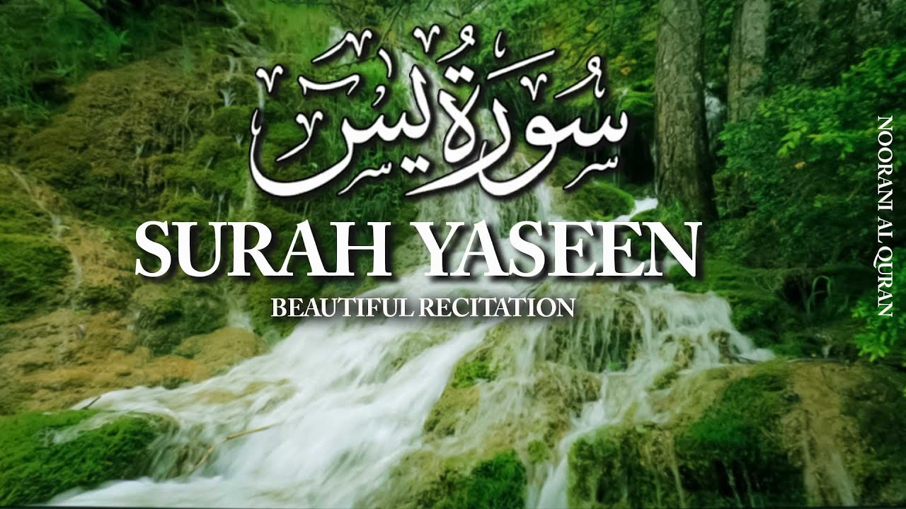सूरह यासीन – हर मर्ज़ की शिफ़ा, हर दिल का सुकून 🌙 | Surah Yaseen ...