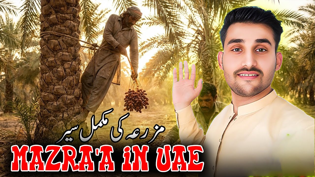 UAE Village Life 🇦🇪 | Exploring Dubai Mazra | Real Rural UAE - YouTube