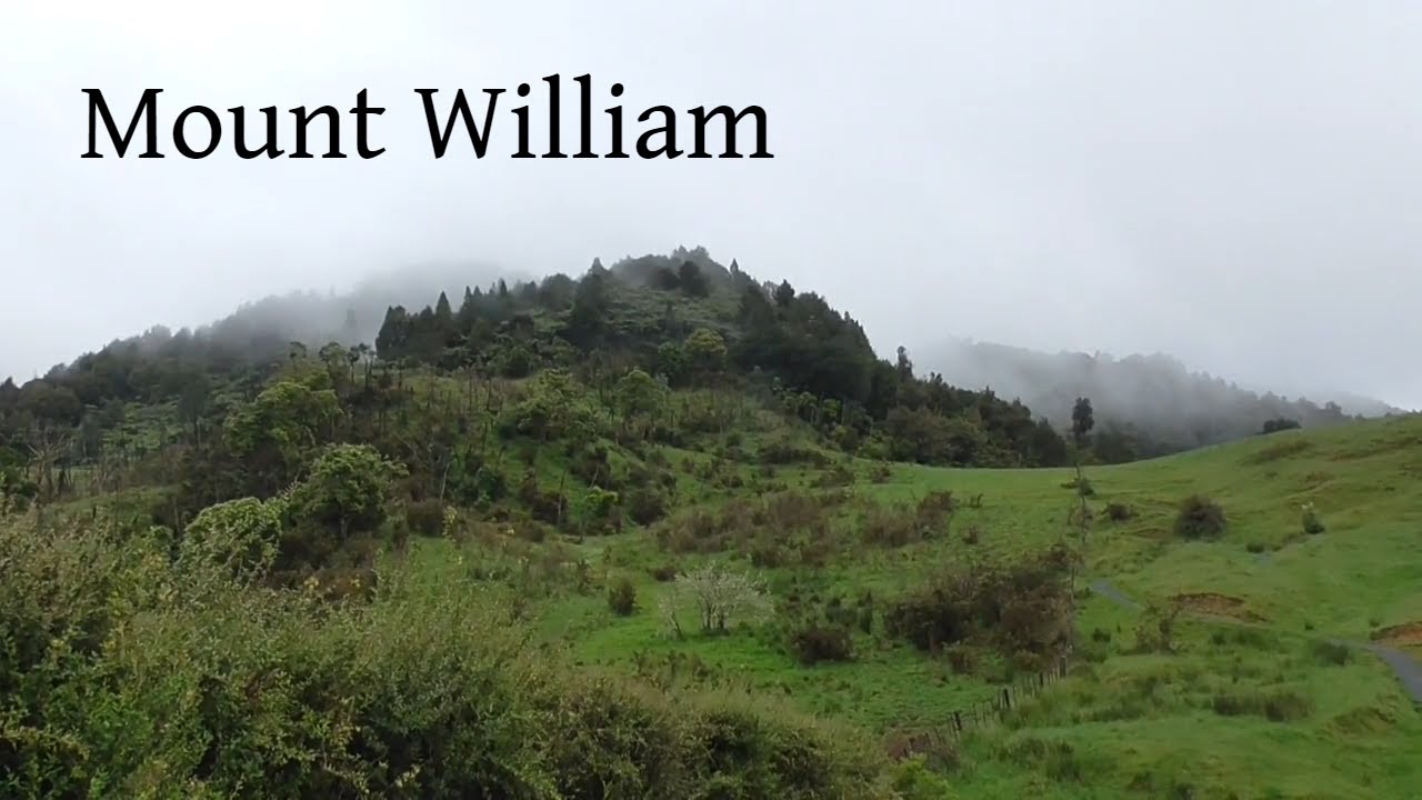 Mount William Walkway (Auckland, New Zealand) - YouTube