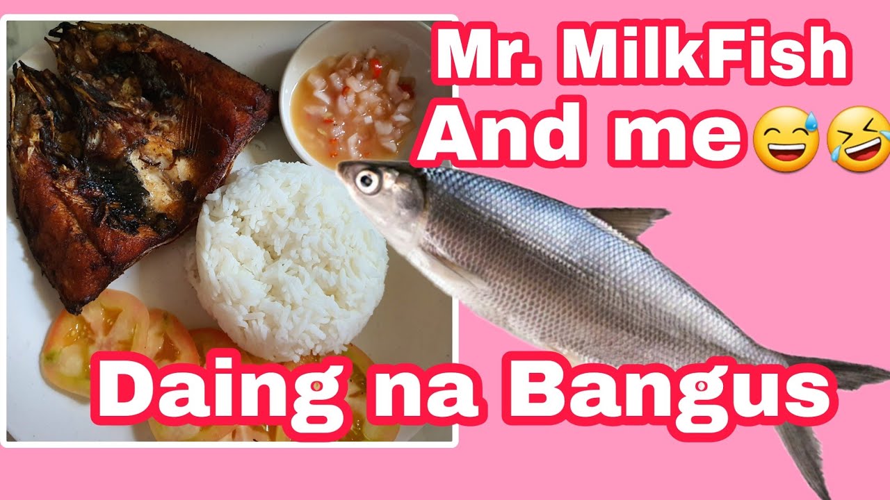 How to make Daing na BANGUS/mr. Milkfish and Me - YouTube